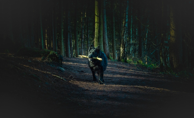 Implementing Background Fetch in React Native · Ian Hafkenschiel ... Implementing Background Fetch in React Native · Ian Hafkenschiel ...